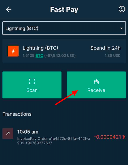 Fast Pay Nedir – Bitfinex